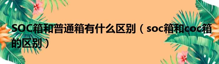 SOC箱和普通箱有什么区别（soc箱和coc箱的区别）_51房产网