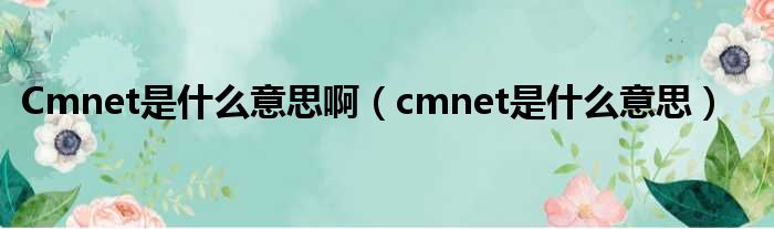 Cmnet是什么意思啊（cmnet是什么意思）_51房产网