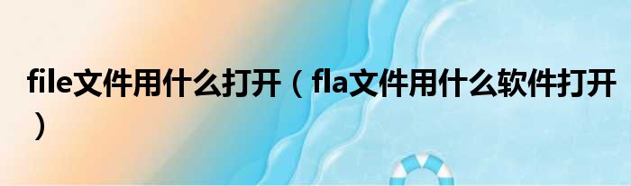 file文件用什么打开（fla文件用什么软件打开）_51房产网