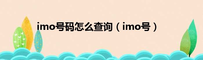 imo号码怎么查询（imo号）_51房产网