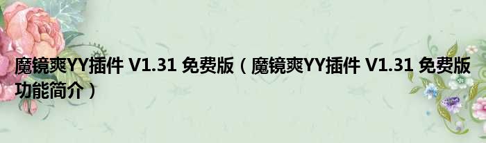 魔镜爽YY插件 V1.31 免费版（魔镜爽YY插件 V1.31 免费版功能简介）_51房产网