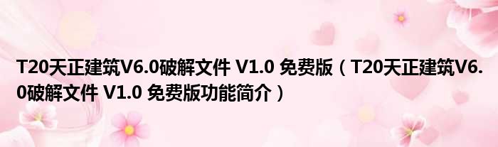 T20天正建筑V6.0破解文件 V1.0 免费版（T20天正建筑V6.0破解文件 V1.0 免费版功能简介）_51房产网