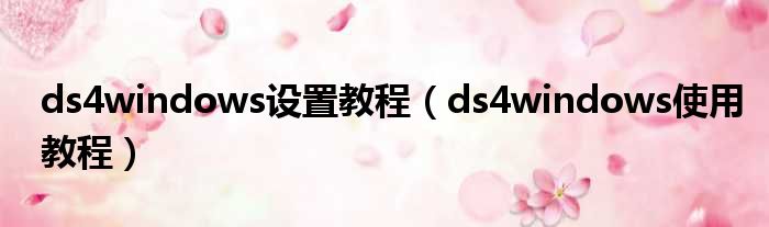 ds4windows设置教程（ds4windows使用教程）_51房产网