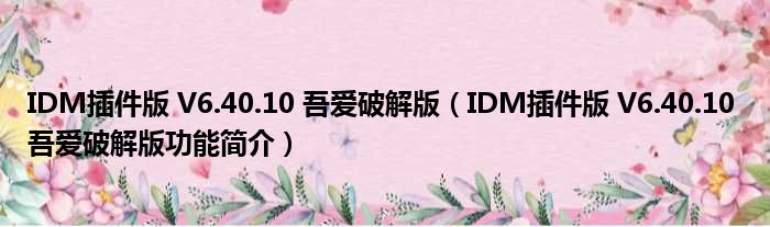 IDM插件版 V6.40.10 吾爱破解版（IDM插件版 V6.40.10 吾爱破解版功能简介）_51房产网