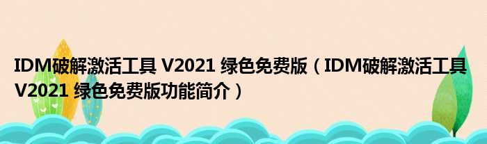 IDM破解激活工具 V2021 绿色免费版（IDM破解激活工具 V2021 绿色免费版功能简介）_51房产网
