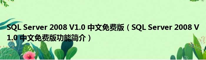 SQL Server 2008 V1.0 中文免费版（SQL Server 2008 V1.0 中文免费版功能简介）_51房产网