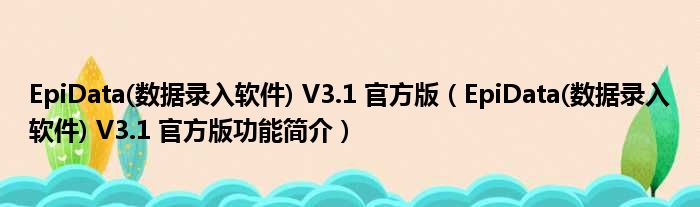 EpiData(数据录入软件) V3.1 官方版（EpiData(数据录入软件) V3.1 官方版功能简介）_51房产网