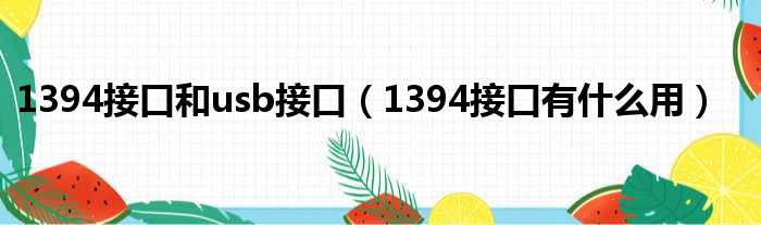 1394接口和usb接口（1394接口有什么用）_51房产网