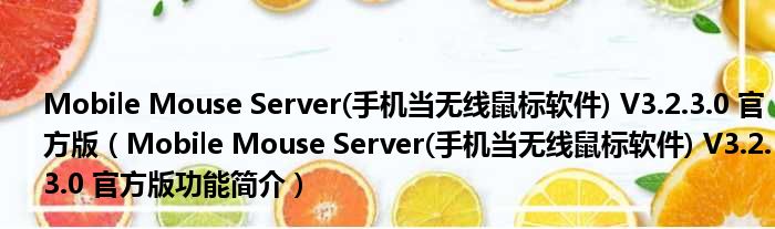 Mobile Mouse Server(手机当无线鼠标软件) V3.2.3.0 官方版（Mobile Mouse Server(手机当无线鼠标 ...