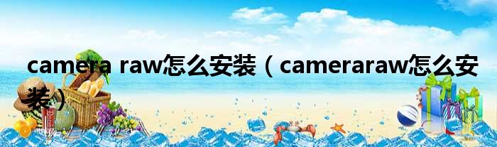 camera raw怎么安装（cameraraw怎么安装）_51房产网