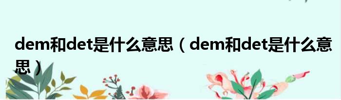 dem和det是什么意思（dem和det是什么意思）_51房产网