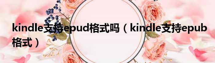 kindle支持epud格式吗（kindle支持epub格式）_51房产网