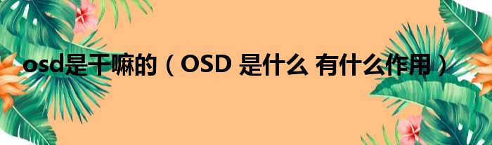 osd是干嘛的（OSD 是什么 有什么作用）_51房产网