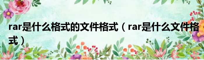 rar是什么格式的文件格式（rar是什么文件格式）_51房产网
