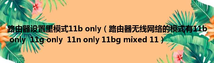 路由器设置里模式11b only（路由器无线网络的模式有11b only 11g only 11n only 11bg mixed 11）_51房产网