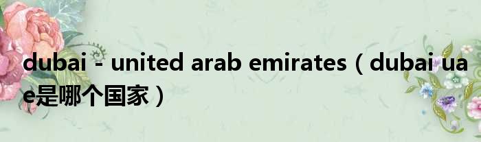 Dubai United Arab Emirates(dubai Uae是哪个国家) 51房产网